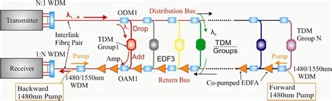 Proposed Amplified Tdmdwdm Array Topology Download Scientific Diagram