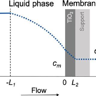 Schematic Representation Of The 1d Model Indicating The Liquid Phase