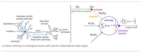 Everything You Need To Know About “activation Functions” In Deep