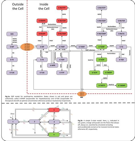 A State Model Fig A A Simple State Model Fig B Download Scientific Diagram