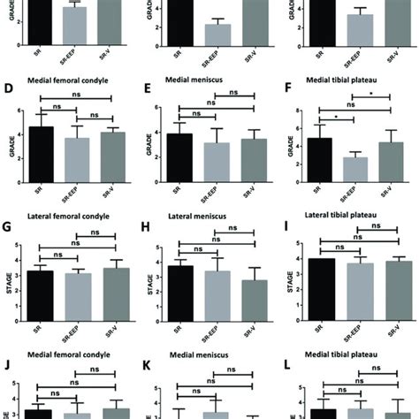 Classification Of Knee Articular Cartilage Damage Was Performed