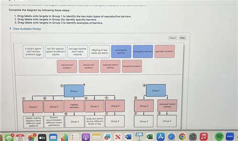 Solved Complete The Diagram By Following These Stepsdrag