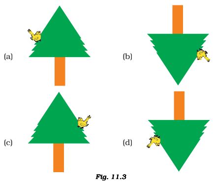 NCERT Exemplar Solutions For Class Science Chapter Light