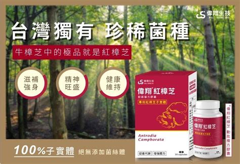 宅配【偉翔生技】紅樟芝專利動能複方膠囊，嚴選固態培養100台灣極品紅樟芝子實體，絕無添加菌絲體，萃取每粒含48mg三萜類，具有多醣體、腺苷等營養素，植物膠囊全素可食，複方更不計成本添加紅景天