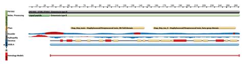 4 Schematic Represent Structure Of Staphylococcal Enterotoxin B Download Scientific Diagram