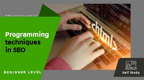 Programming Techniques In Seo Beginner Cama College