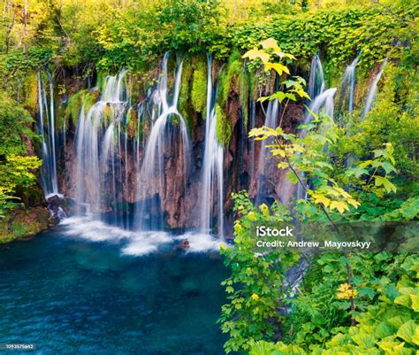 순수한 물 폭포 국립공원에서 녹색 숲의 화려한 봄 장면 크로아티아 유럽의 훌륭한 시골 풍경입니다 자연 컨셉 배경의 아름다움입니다 0명에 대한 스톡 사진 및 기타 이미지