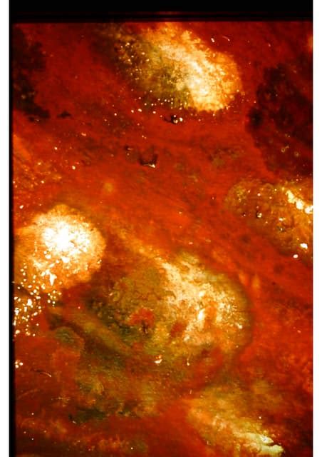 Acrylic Structure Pdf