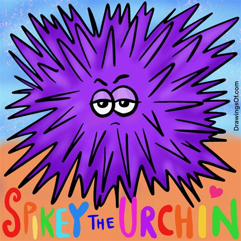Sea Urchin Drawing Cute Easy Cartooning Drawings Of