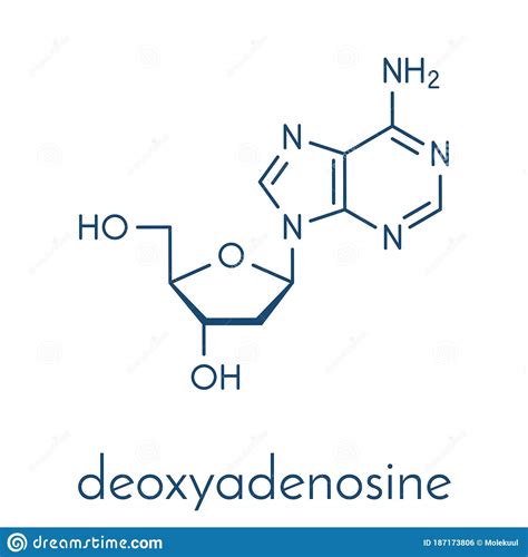 Deoxyadenosine Da Nucleoside Molecule Dna Building Block Skeletal Formula Vector Illustration