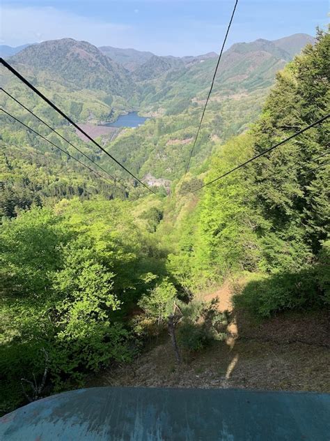 【番外】初夏の伊豆・甲州紀行（その6） 旅行・温泉巡り