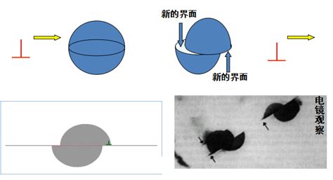 课程门户 章节详情