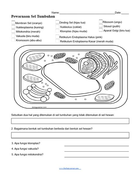 Pewarnaan Sel Tanaman Pdf