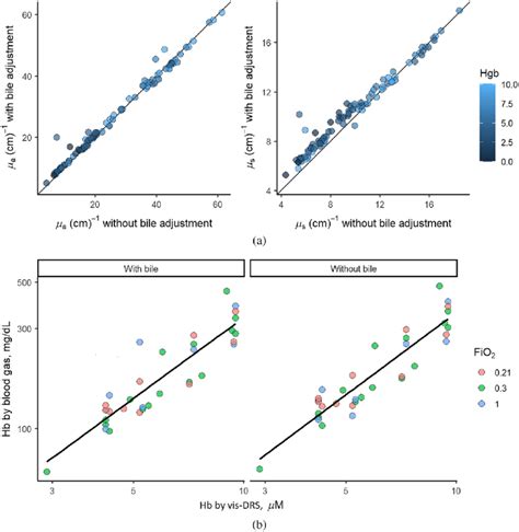 Effects Of Including Biliverdin As An Absorption Factor In The Inverse