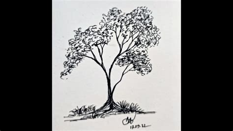 How To Draw A Tree Step By Step Pen Sketch YouTube