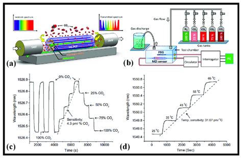 Hc Pcf Based Gas Sensor A Schematic Of Mzi Developed Using A Small Download Scientific