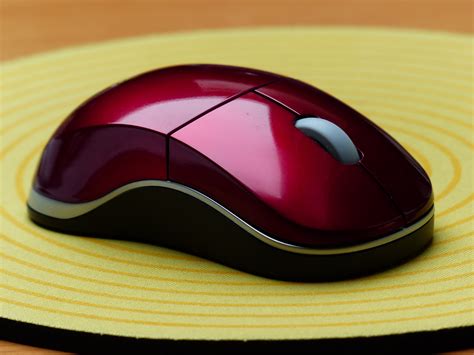 Computer Hardware Mouse