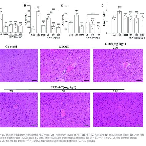 Analysis Of Related Metabolic Pathways A Pathway Analysis For