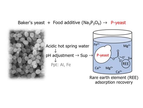 recovering trace rare earth elements in environmental water