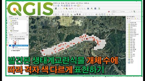 [qgis] 발견된 생태계교란식물 개체 수에 따라 격자 색을 다르게 표현하기 폴리곤에 포함하는 포인트 개수 계산 심볼 단계