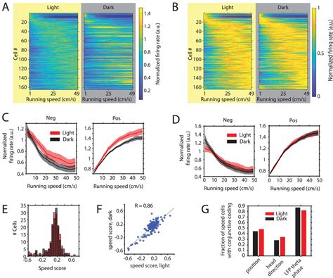 Figures And Data In Effects Of Visual Inputs On Neural Dynamics For Coding Of Location And