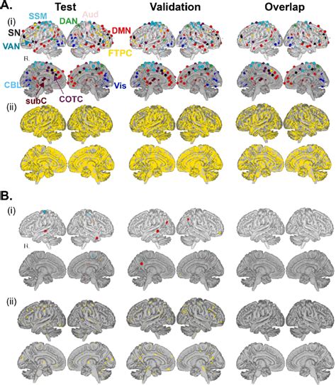 Performance Of The Pag Rois On Whole Brain Functional Connectivity A Download Scientific