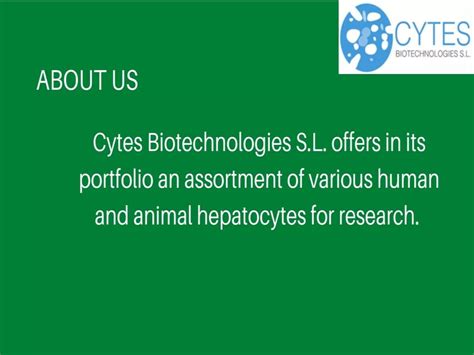 Human Hepatic Stellate Cells Ppt