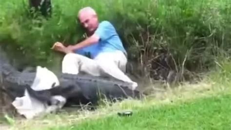 Alligator Takes A Bite Out Of Elderly Man After He Tries To Wrestle It Daily Mail Online
