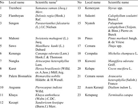 Tree Species Identification In The Study Download Table