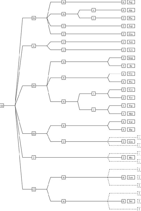 Tree Of Evolution Of The Genetic Code With Amino Acid Assignment For Download Scientific