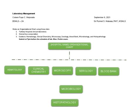Clinical Laboratory Organizational Chart Pdf