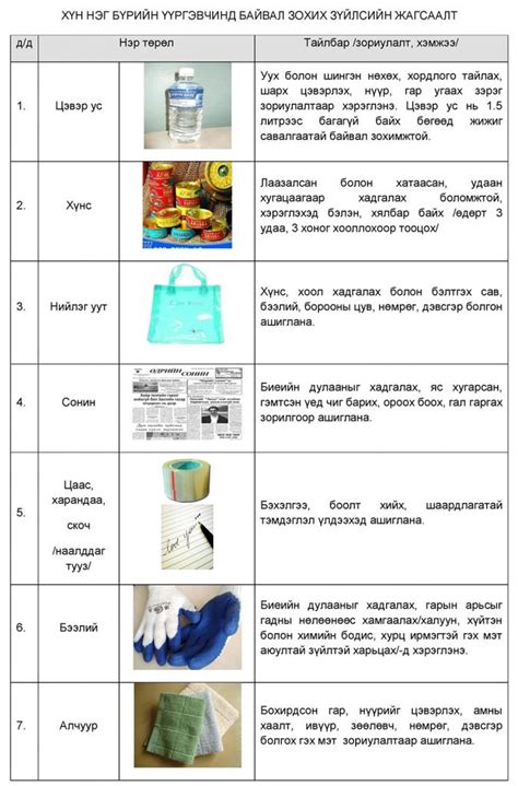 Хүн нэг бүрийн үүргэвчинд байвал зохих зүйлсийн жагсаалт News Mn