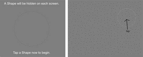 contour integration task gabors appeared on a gray background