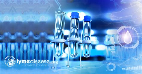An Overview Of Lyme Disease Testing By Dr Todd Maderis