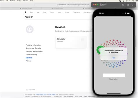 Not Able Login To Simulator Using The Newly Created Sandbox Account Riosprogramming