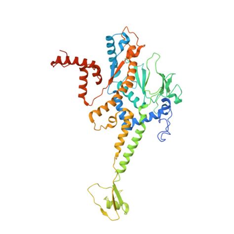 Rcsb Pdb 8k39 Structure Of The Bacteriophage Lambda Portal Vertex