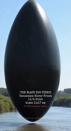 Is Black Egg In Tennessee Real Or Fake What We Discovered Infoquu