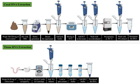 Applications Of Rna Isolation At Isaac Soundy Blog
