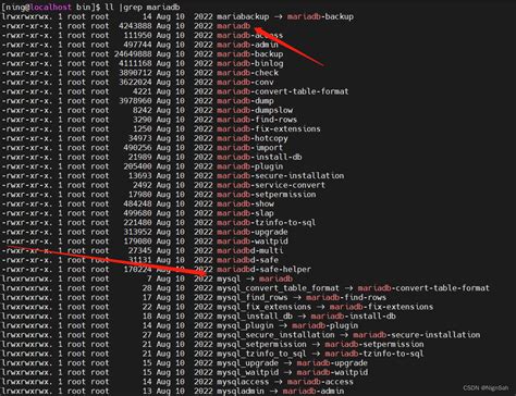 Linux环境下安装mariadblinux离线安装mariadb Csdn博客