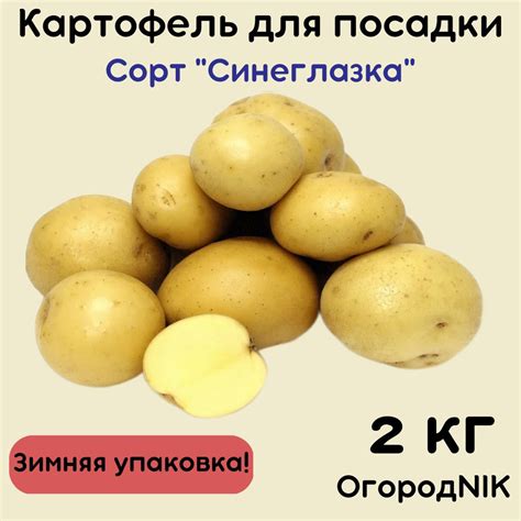 Клубни Картофель купить по выгодной цене в интернет-магазине OZON ...