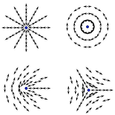 Director Profiles Of Disclinations Found In Nematic Liquid Crystals