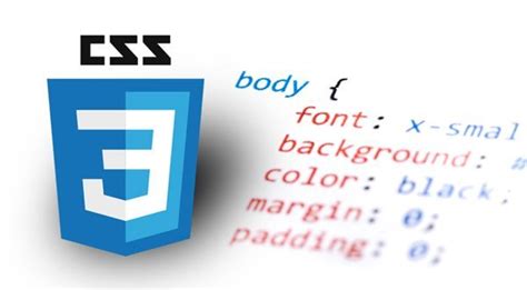 padding là gì margin là gì cách sử dụng padding và margin trong css
