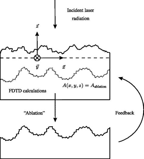 Modeling Laser Induced Periodic Surface Structures Finite Difference Time Domain Feedback