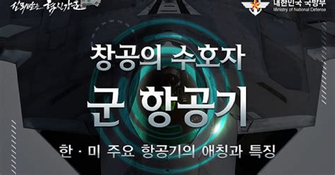 창공의 수호자 군 항공기