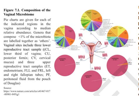 Chapter Quizlet Flashcards Quizlet