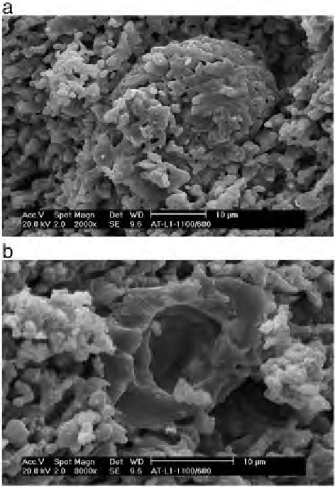 Sem Se Micrographs Of A Super Optimal At L1 Cement A C 2 S Crystals