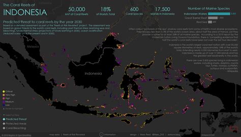 Coral Reefs Of Indonesia Datavisblog
