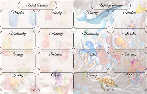 Weekly Overview Pages Pdf Printable Etsy