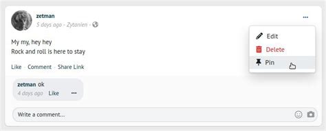 pinned posts open source social network