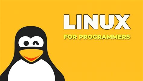 10 reasons why linux is better for programmers and developers